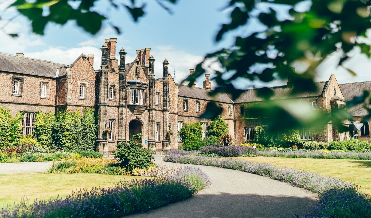 York St John University